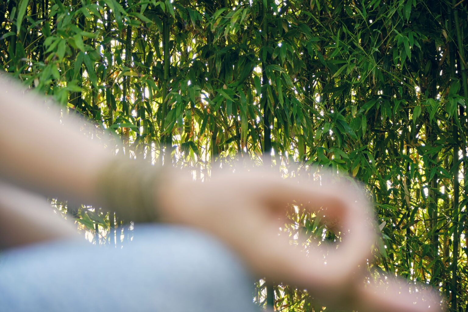 10 Reasons to Start Your Meditation Practice Today – Agnes Kru 10 Reasons to Start Your Meditation Practice Today – Agnes Kru